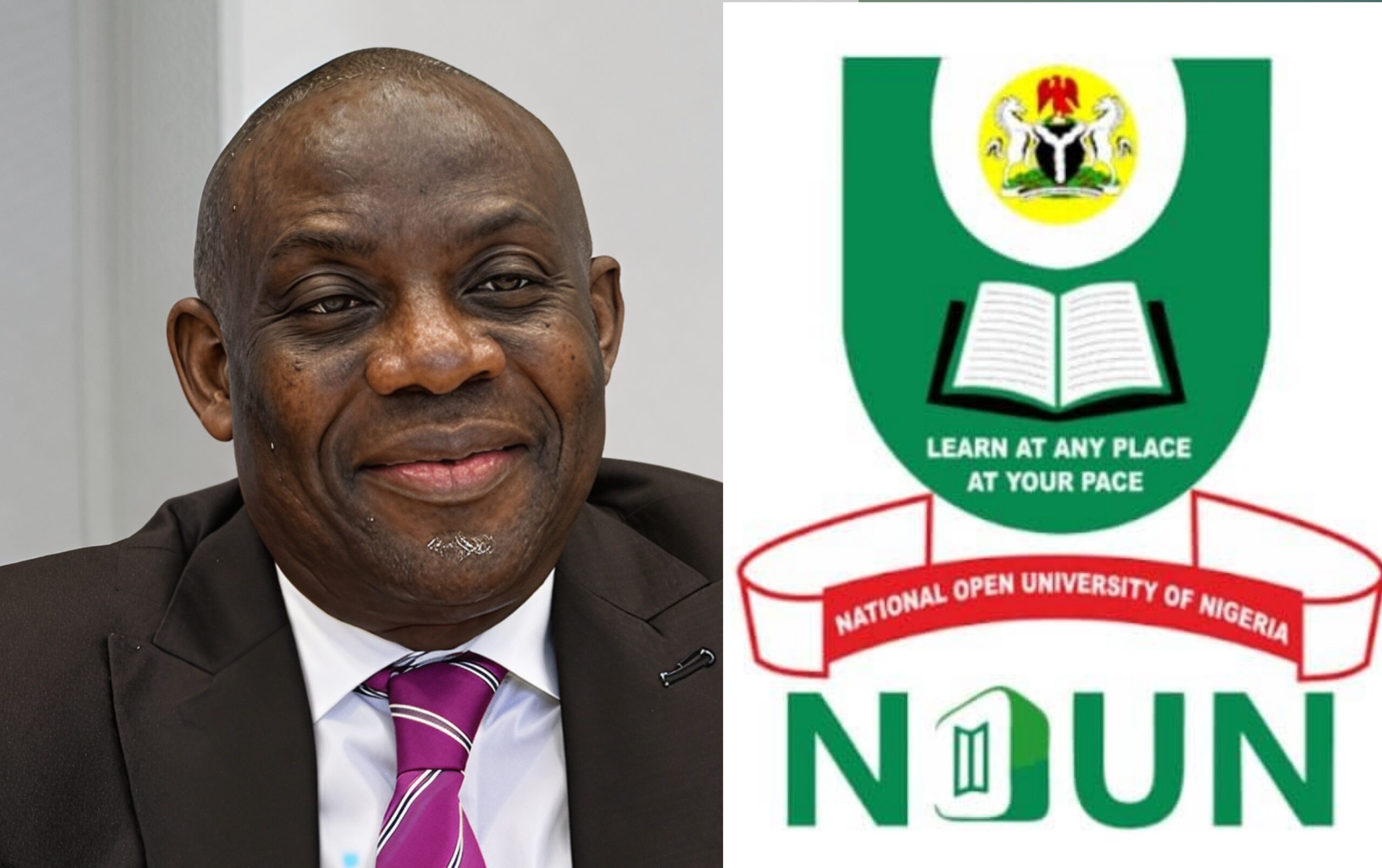 NOUN VC Race: What HME, Tunji Alausa, Must Know About Anointed ...